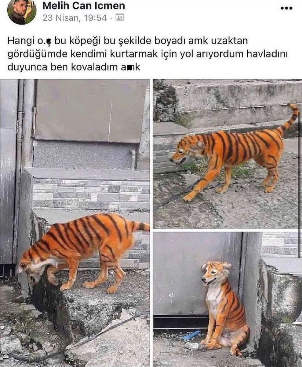 Deniz Eroglu (@Deniz_Eroglu76) | Twitter