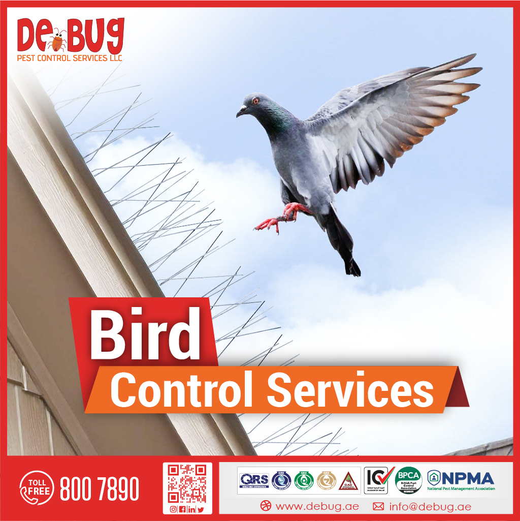 Bird Control Companies