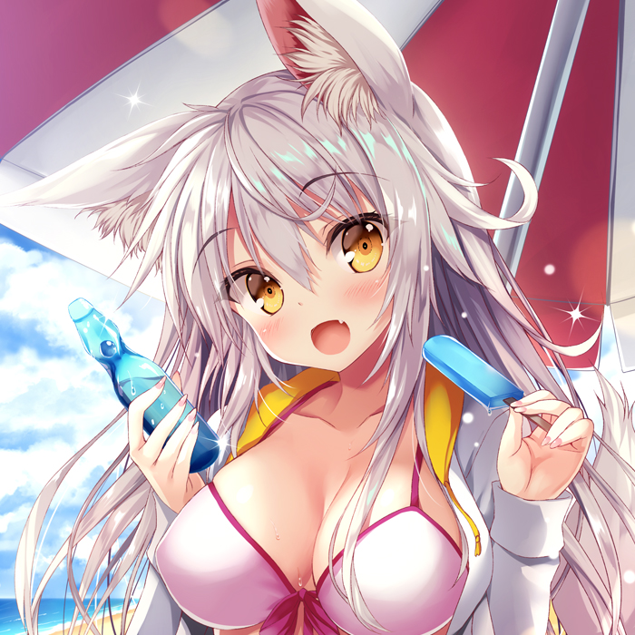 立羽 🦊 COMIC1☆22「B08a」 on Twitter: "8月16日発売の『えつぷらPREMIUM Vol.1』で、はるちゃん大特集を頂いております！ 狐っ娘看板娘はるちゃんの ...