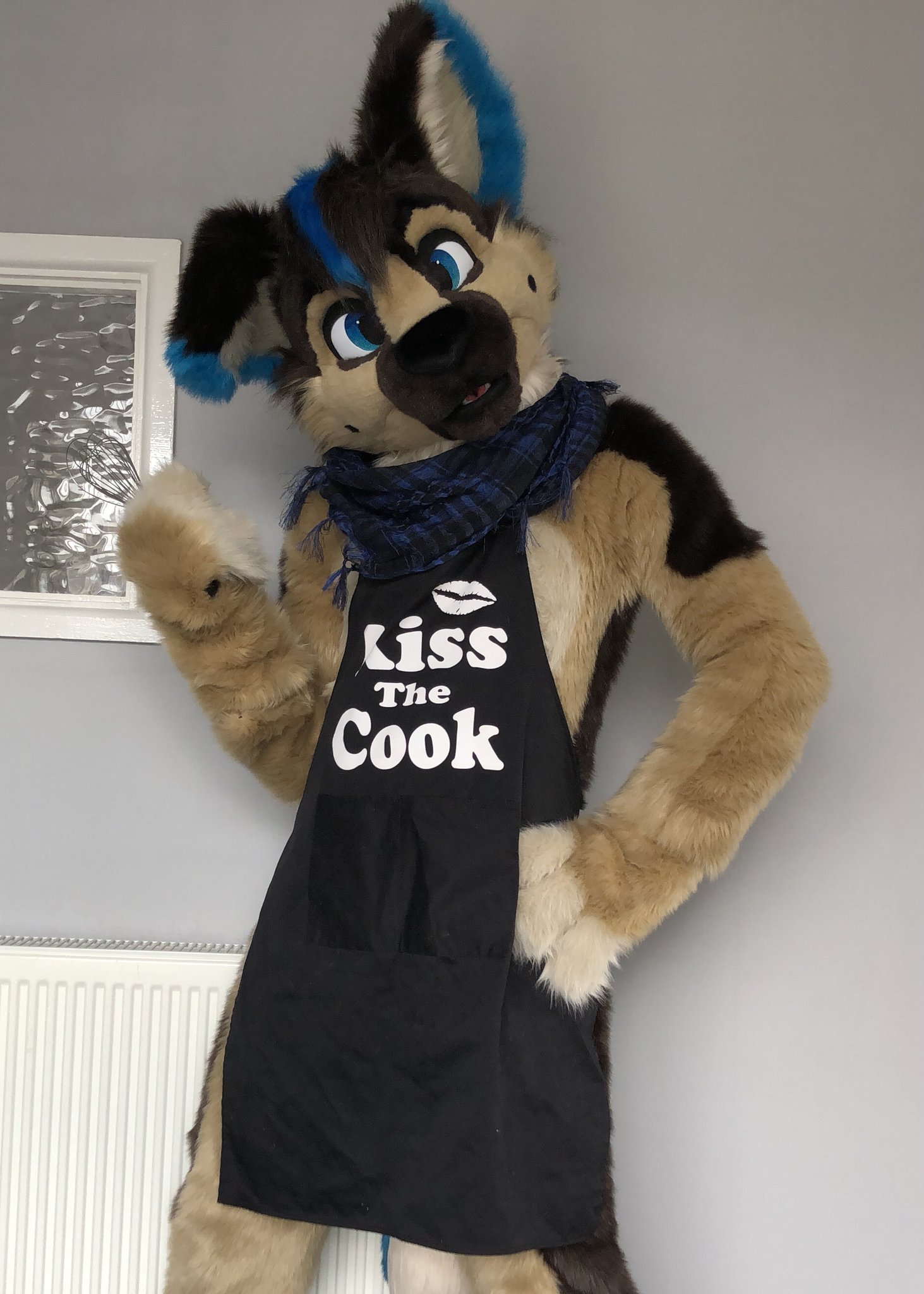 Calabi on Twitter: "RT @AekoShep: So Cutie, What am I whipping you up for dinner? Bear in mind ...