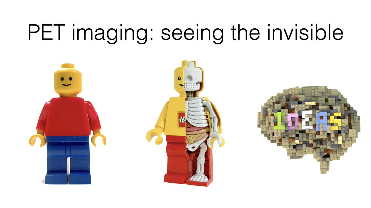 Finnish Biomedical Imaging Node (@FibiNode) | Twitter