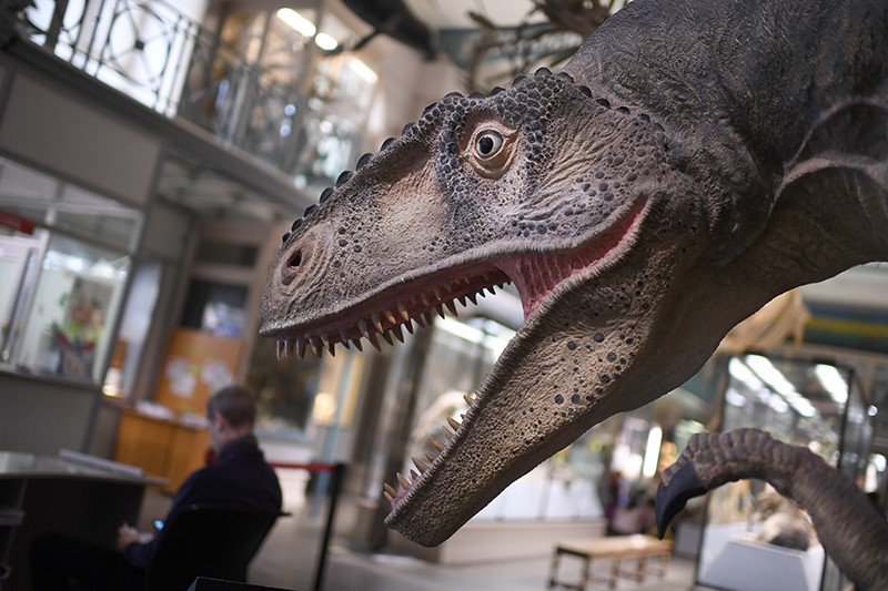 Votre quotidien | Métropole européenne de Lille