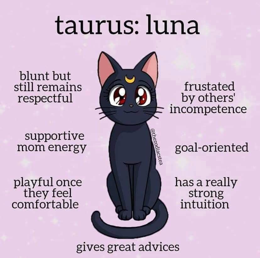 Sailor scouts zodiac signs 60 photos - Youhoroscope.com