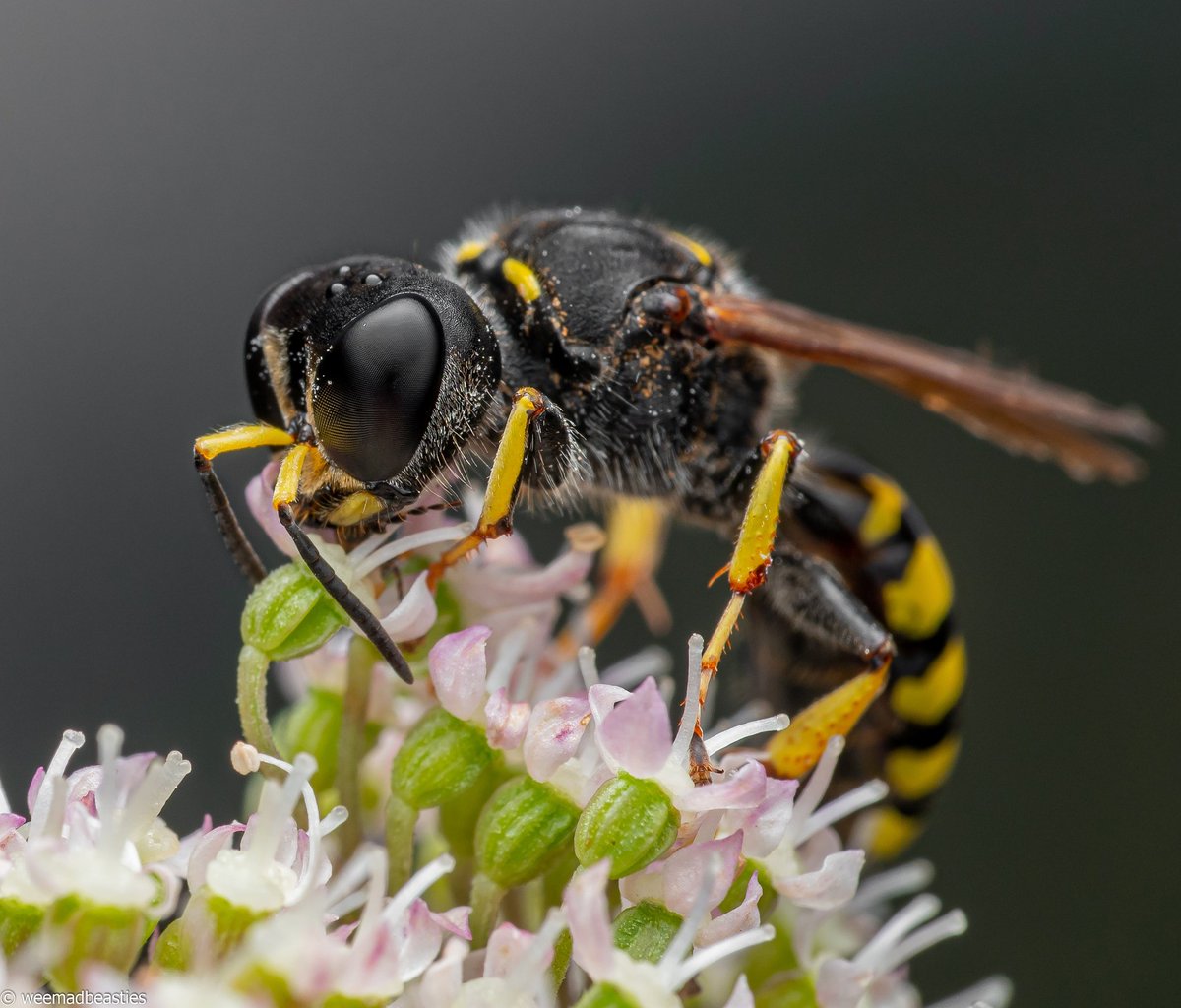 Sharan M (@Sharan_Manohar) | Twitter