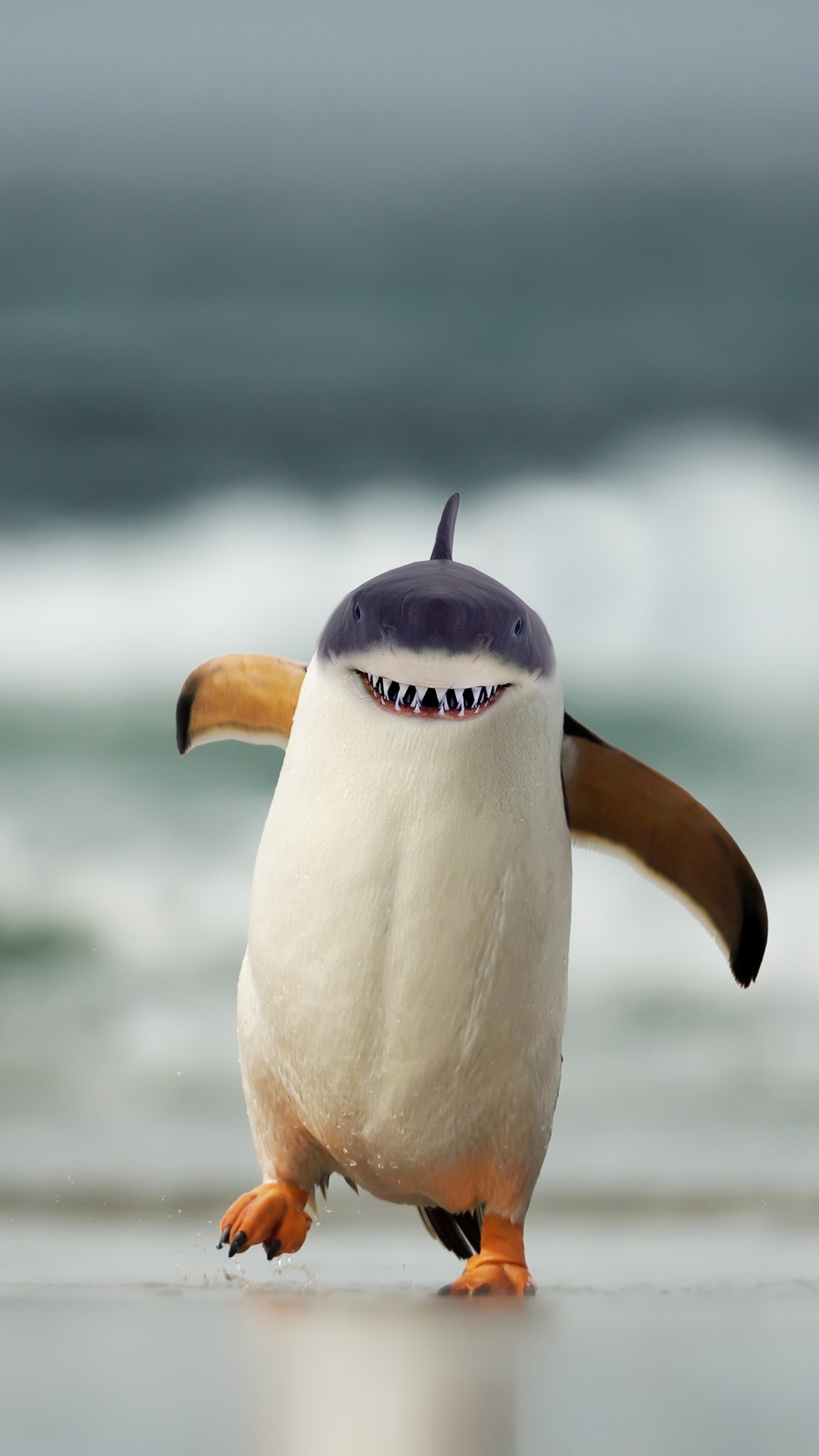 Shark Vs Penguin