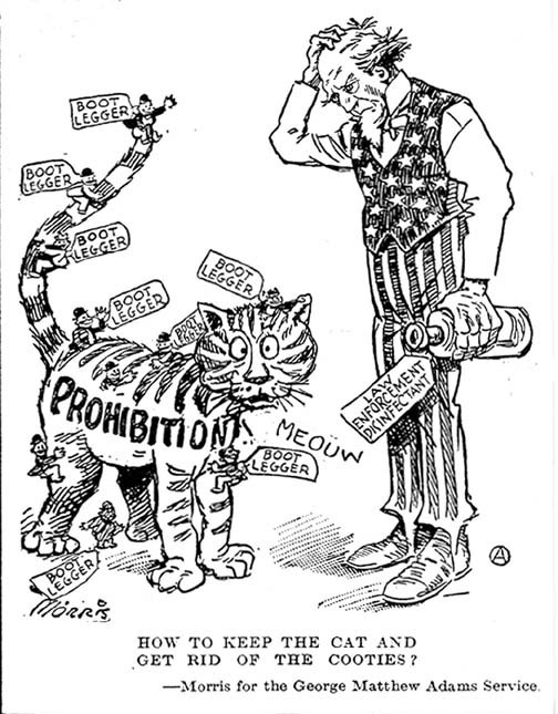 13th Amendment Political Cartoon