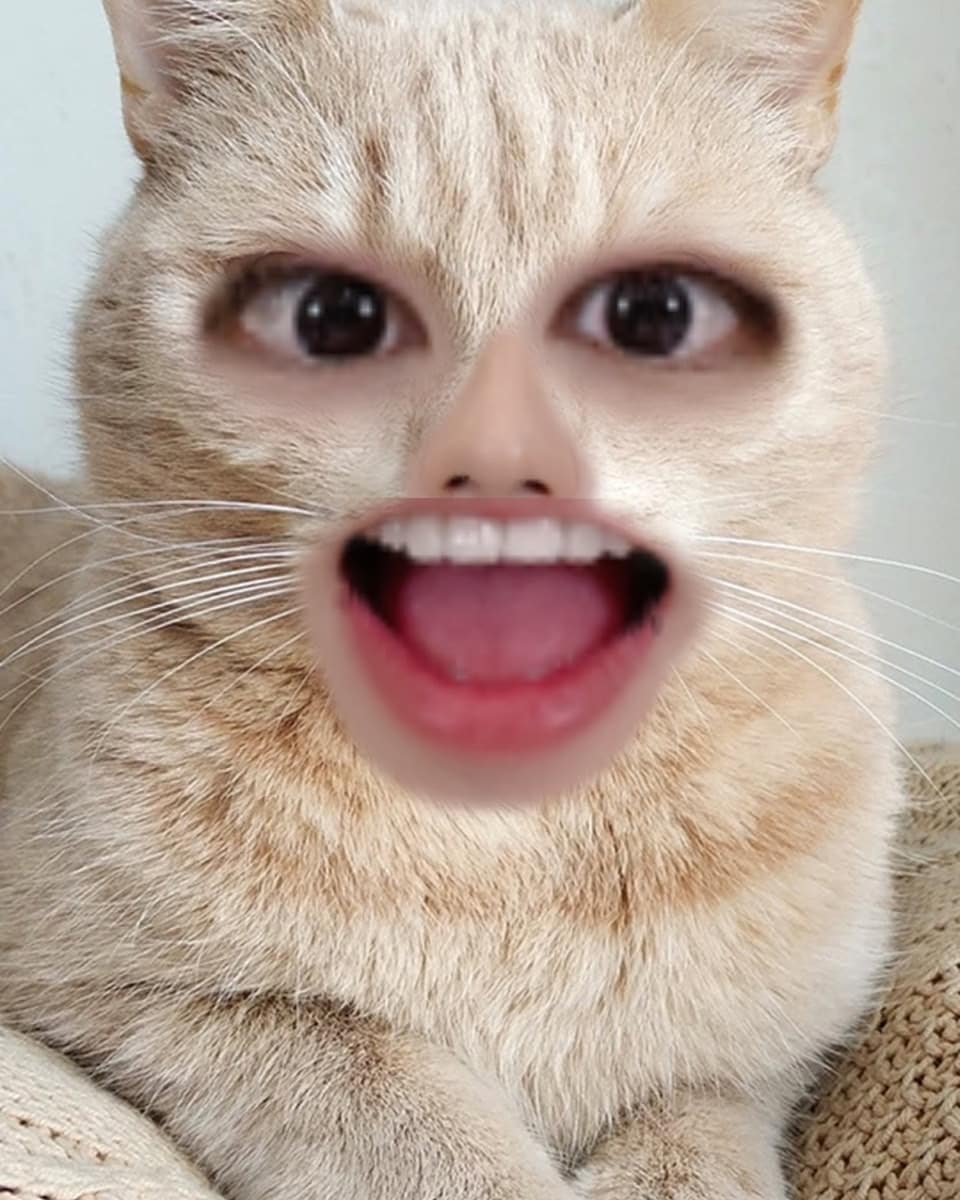 Smiling Cat With Human Teeth