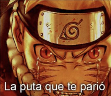 flamma on Twitter: "https://t.co/xqnjdjYhBe…