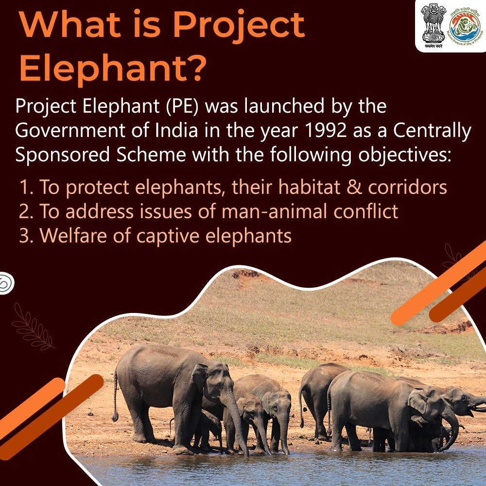 MoEF&CC on Twitter: "#DoYouKnow about Project Elephant? # ...