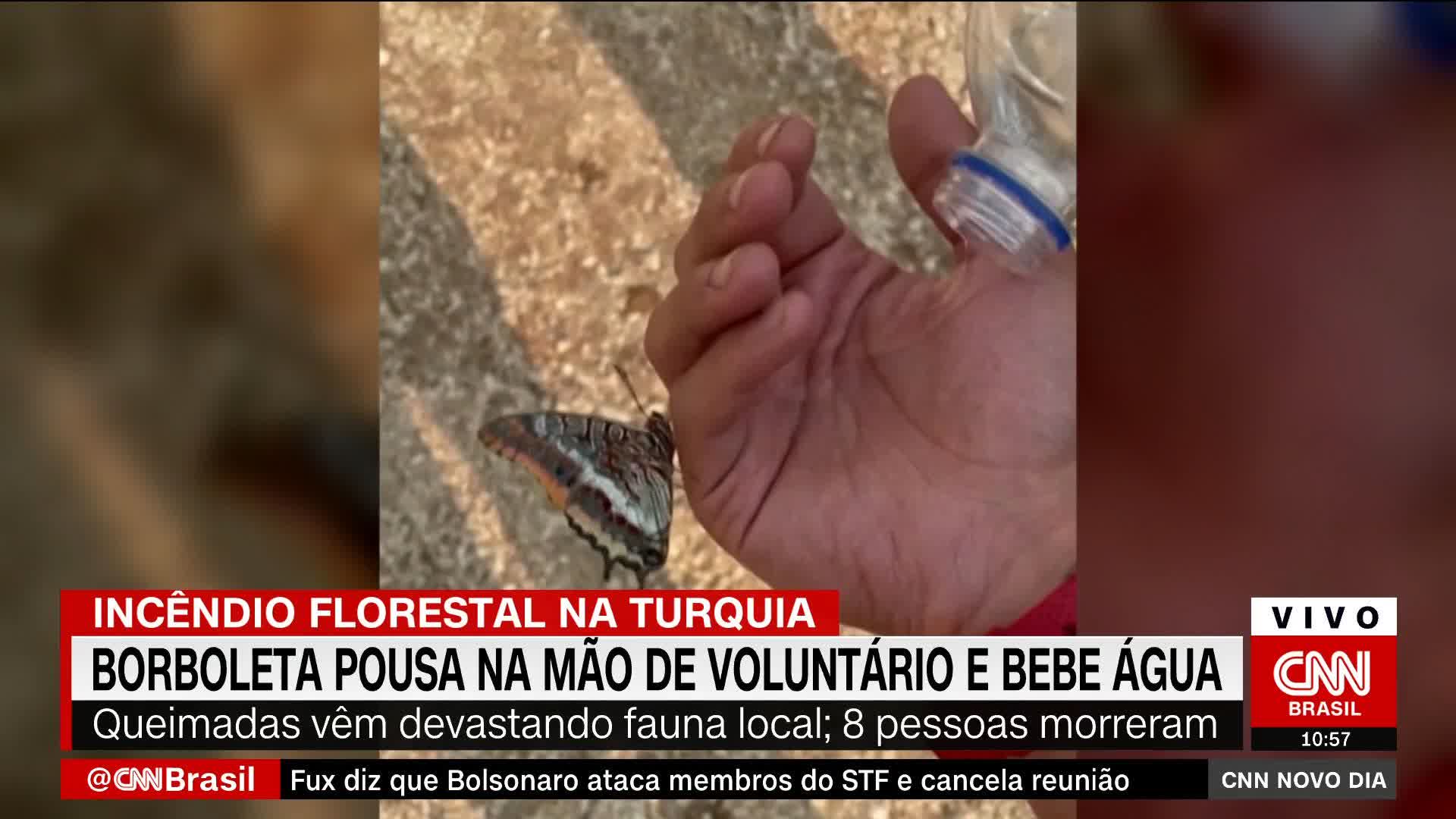 Cnn Brasil On Twitter Um Voluntário Que Atua No Combate Aos Incêndios