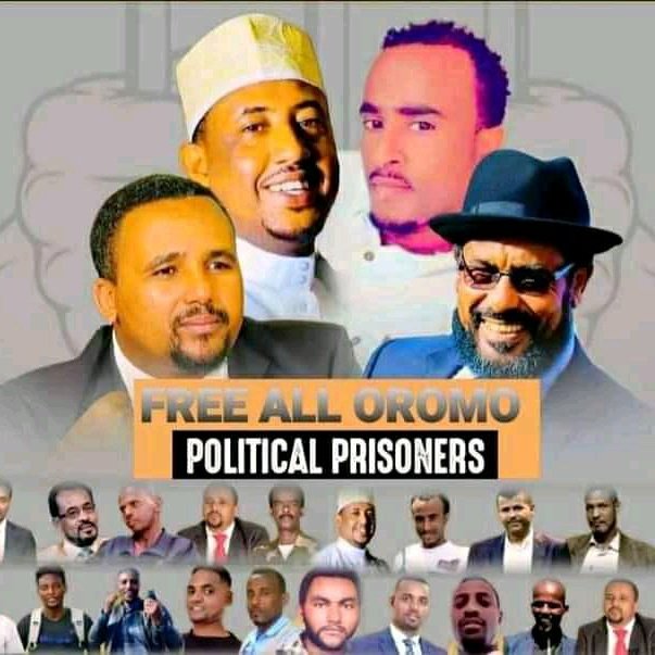 Ibrahim Aliyi on Twitter: "#NewProfilePic…