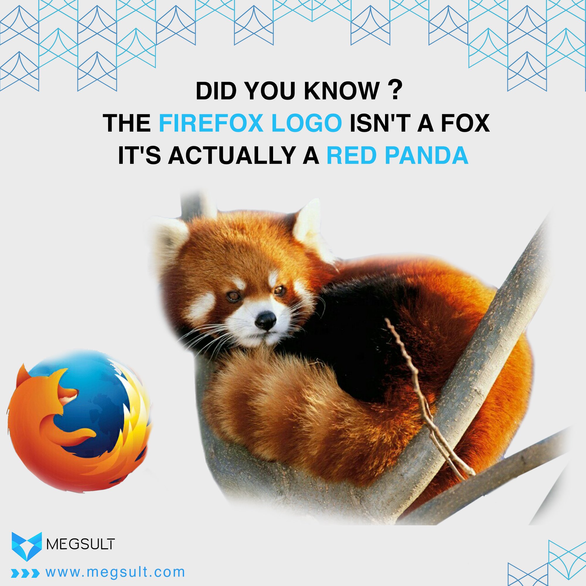 Firefox Logo Red Panda