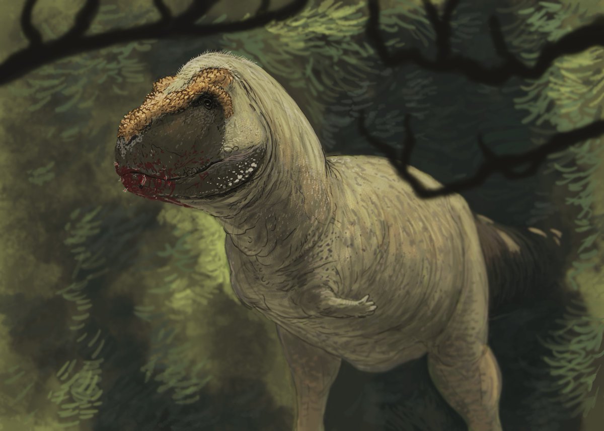 Twoucan - Joschua Knüppe (@JoschuaKnuppe)