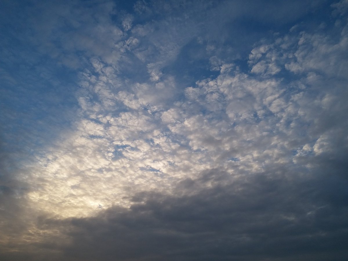 Md. Shawkat Ali (Kalin) (@kalinoli1) | Twitter