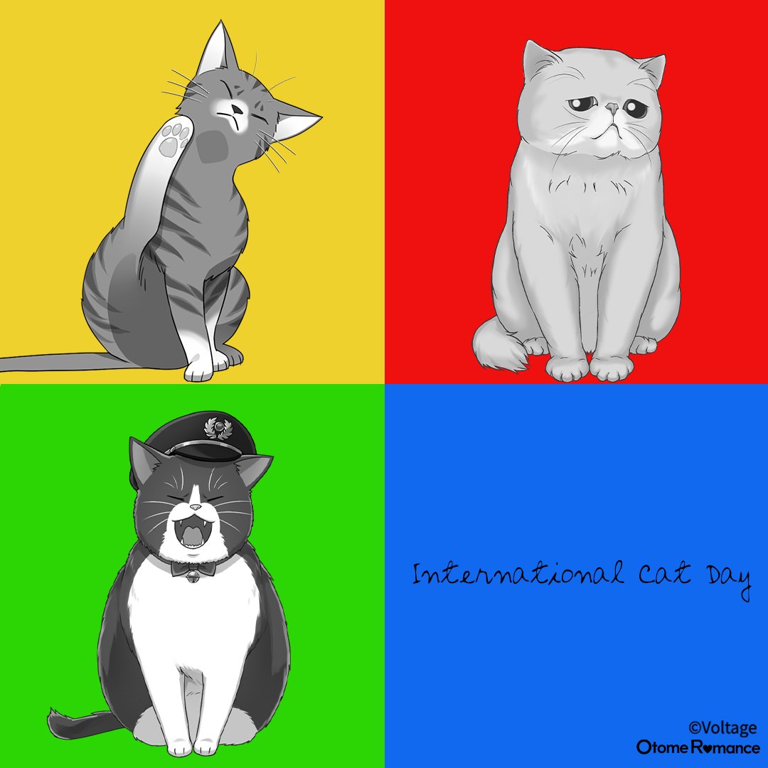 Do Japanese Cats Say Nyan