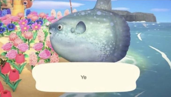 Ocean Sunfish Animal Crossing