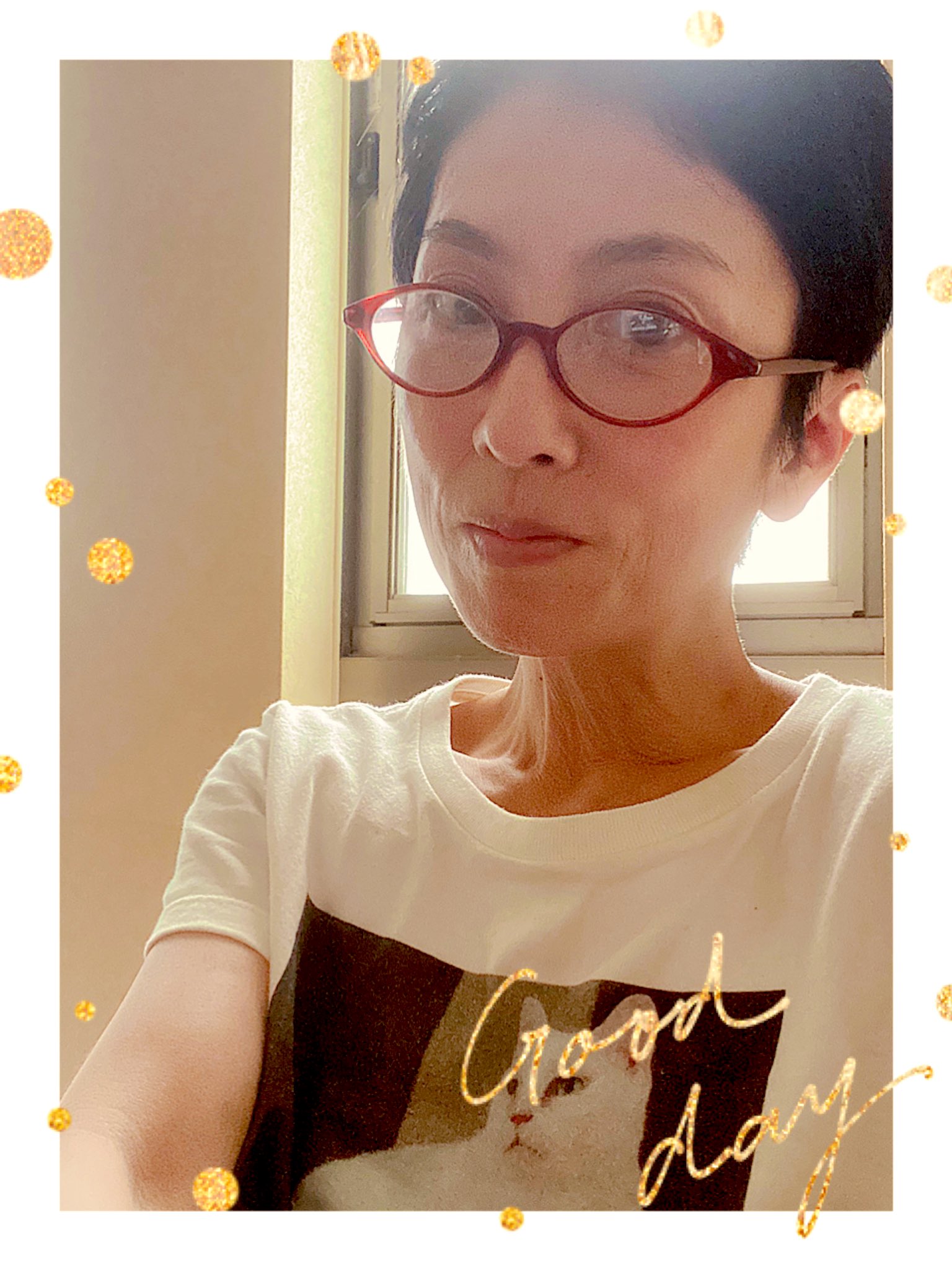 蓮舫💙💛RENHO🇯🇵 on Twitter: "世界猫の日！！🐈 富士子ちゃんのTシャツで過ごした日曜です。🐈‍⬛ https://t.co/ebhXVlcT2s" / Twitter