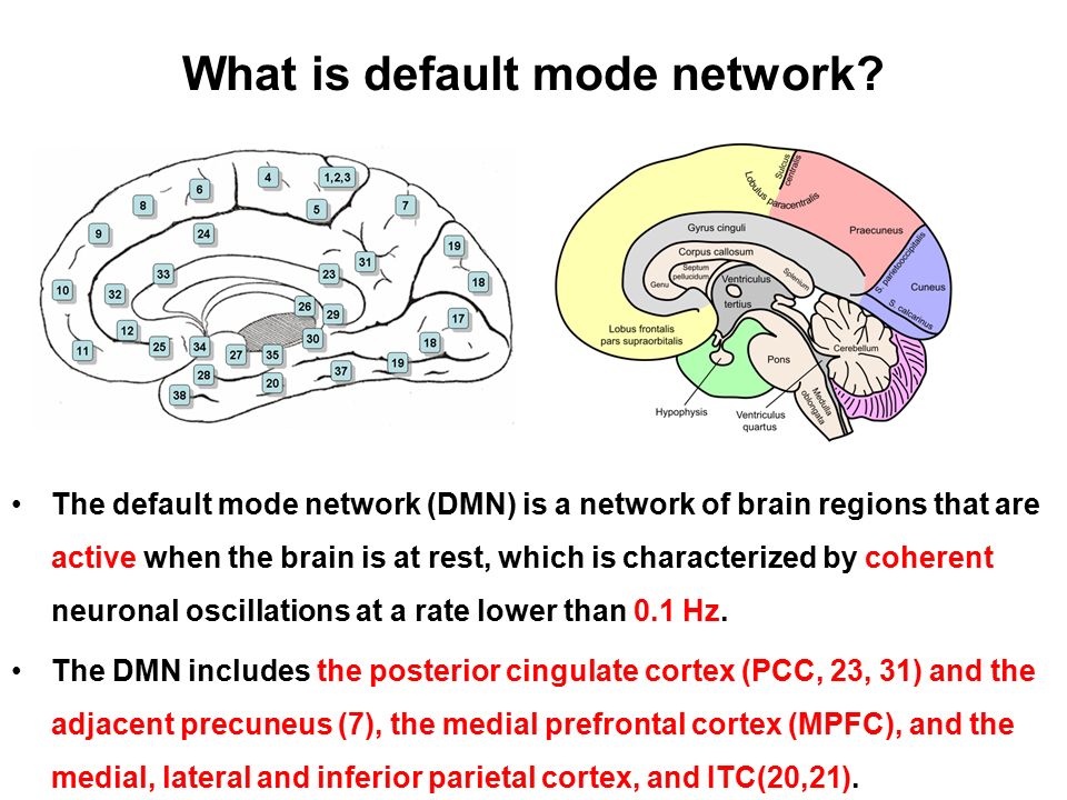 HOW MEDITATION ALTERS THE BRAIN ! 🧵 THREAD🧵 THE SCIENTIFIC POWER OF ...