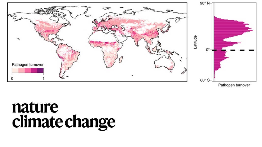 Balaji Devaraju (@BalajiDevaraju) | Twitter