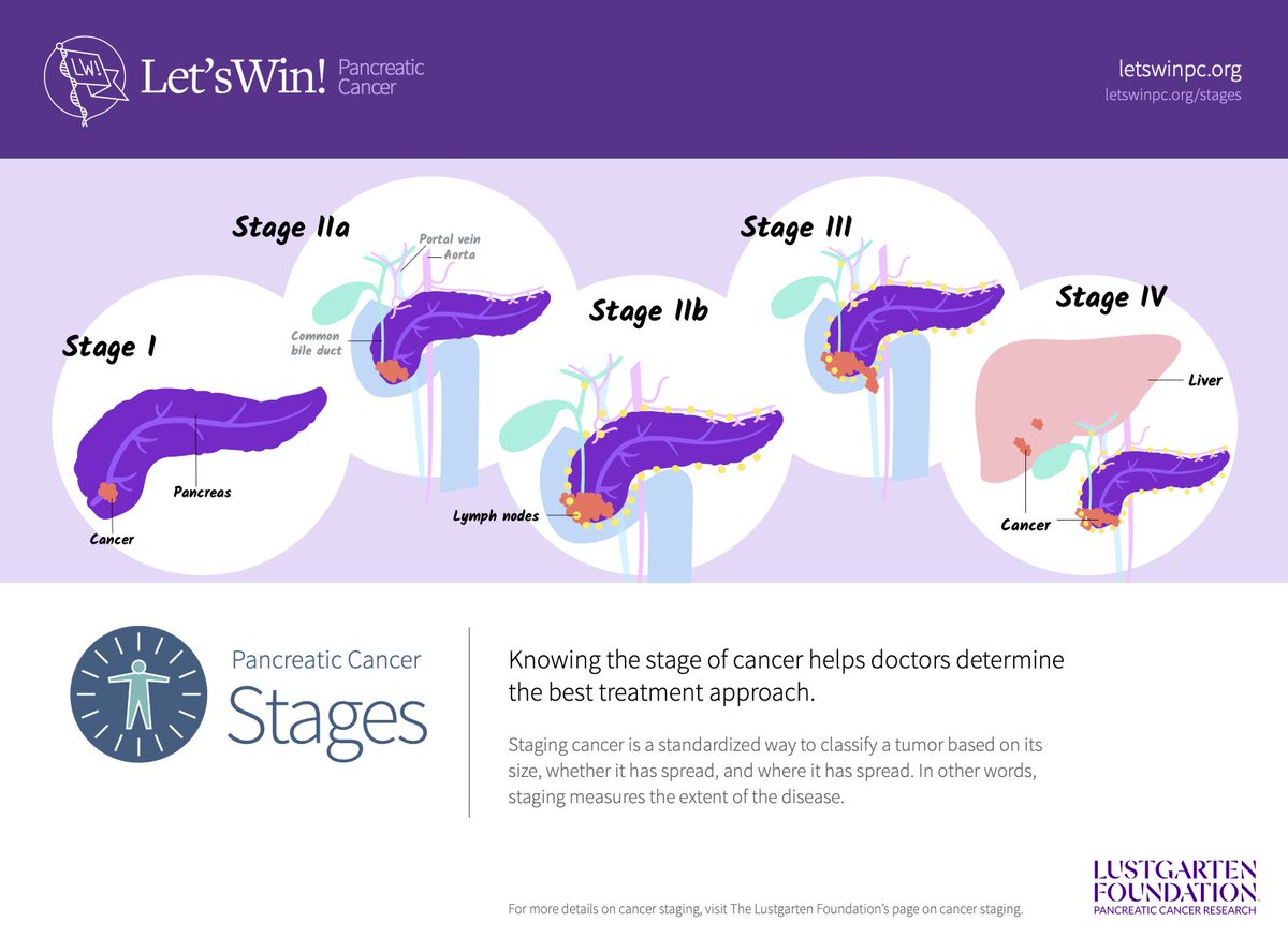 Sharing Science Solutions for Pancreatic Cancer - Let's Win