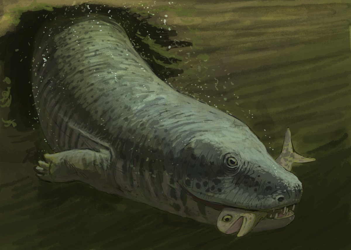 Twoucan - Joschua Knüppe (@JoschuaKnuppe)