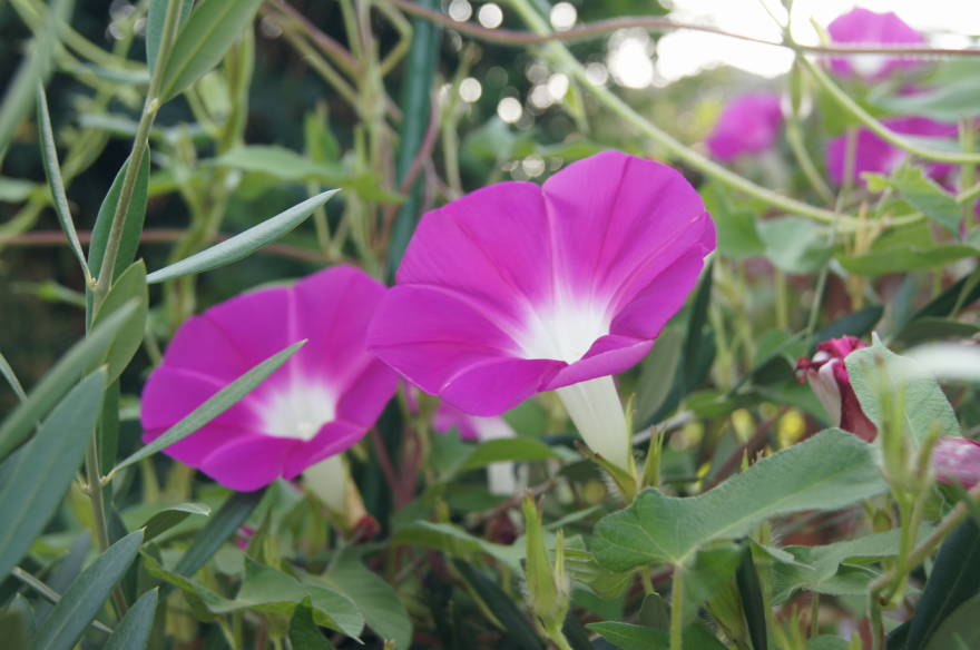 Aki Takeuchi(@noelsora) - Twilog (ツイログ)