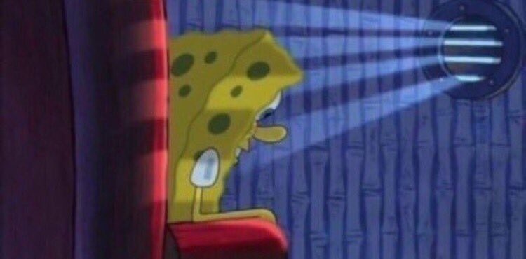 Spongebob Crying Over Gary