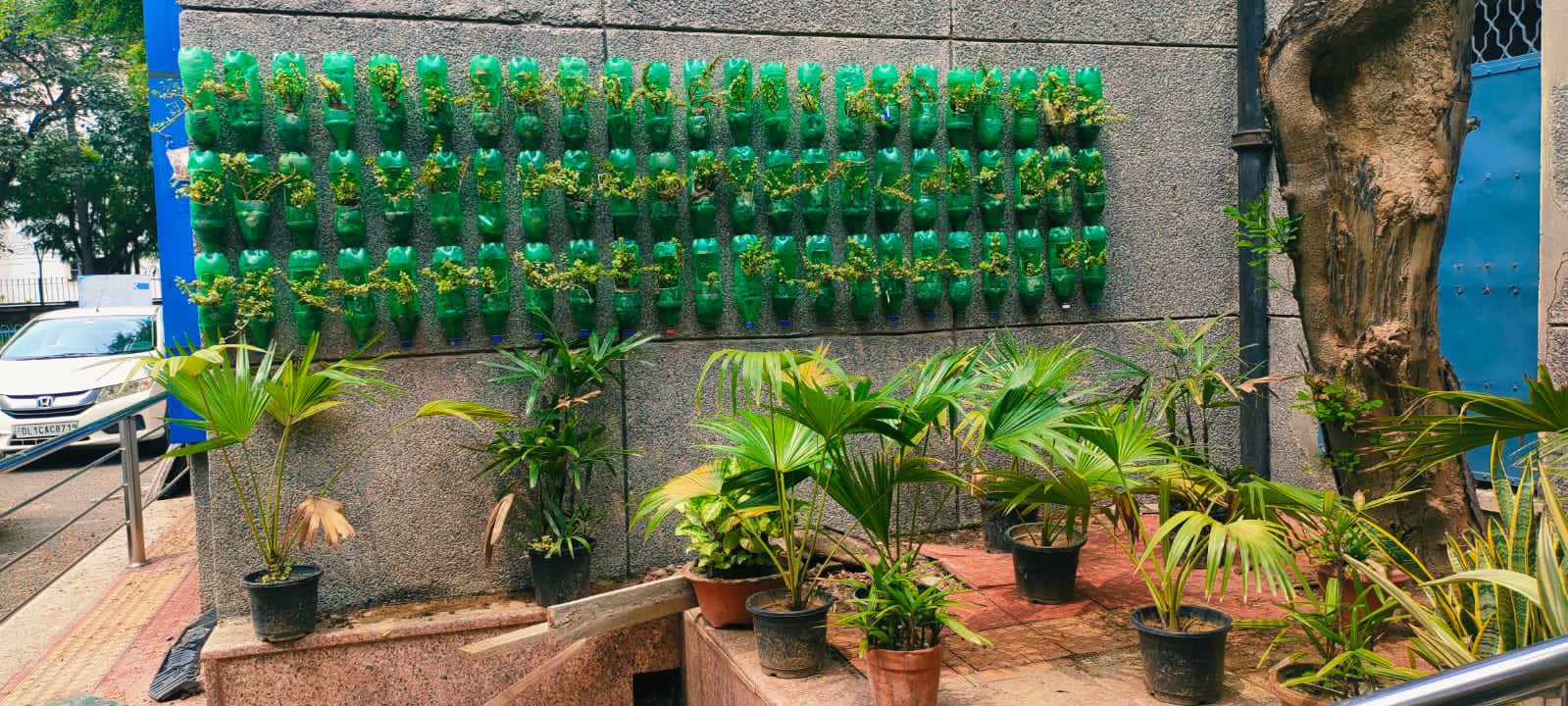 Vertical Gardening Bottles