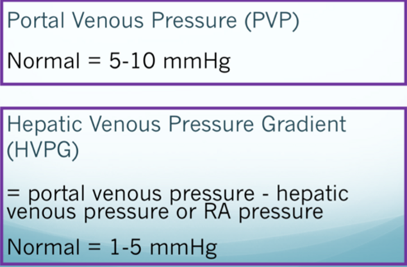 Hepatic Vein Pressure Portal Hypertensive Colopathy Is Associated With