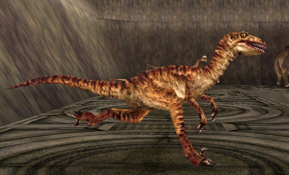 Carnivores Dinosaur Hunter Raptor