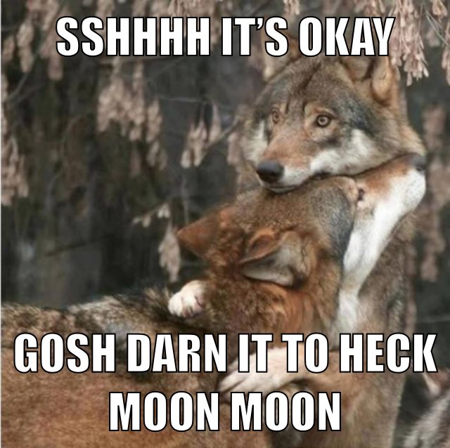 Moon Moon Meme