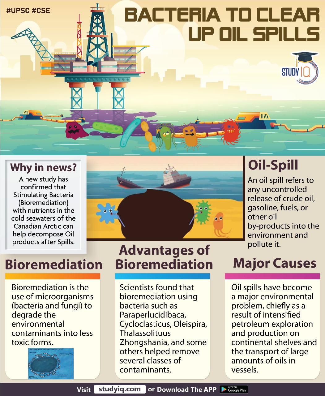 Bioremediation Bacteria Oil Spill