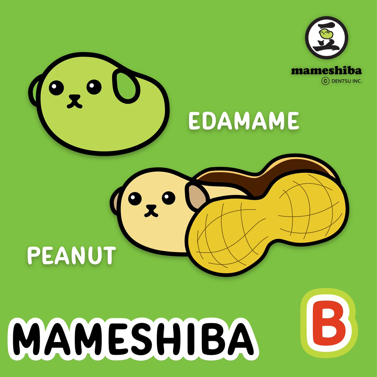 Mameshiba Peanut