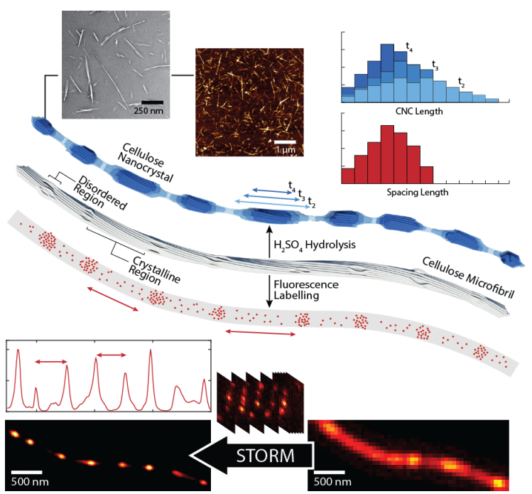 Attolight - Defect Inspection Tools, Quantitative Cathodoluminescence