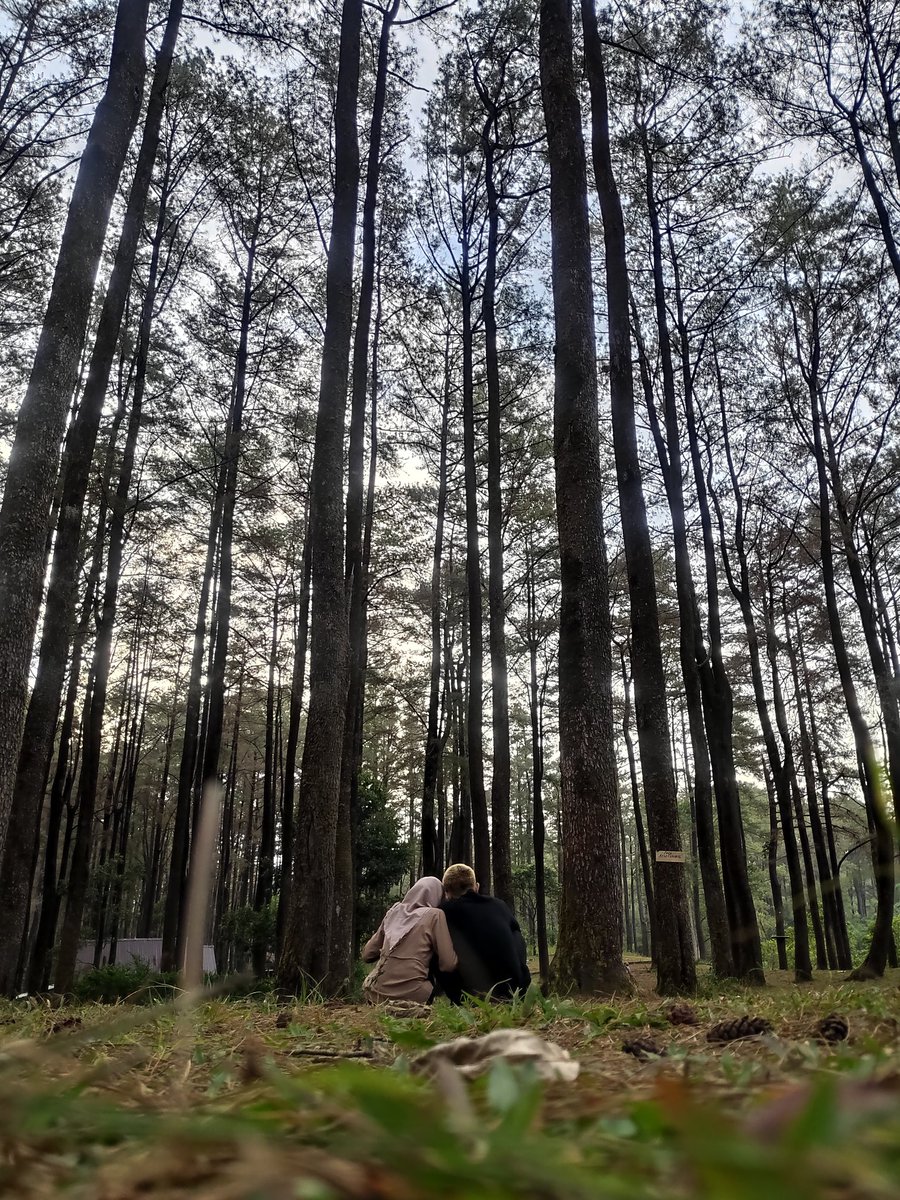 sumanto (@tunggubang) | Twitter