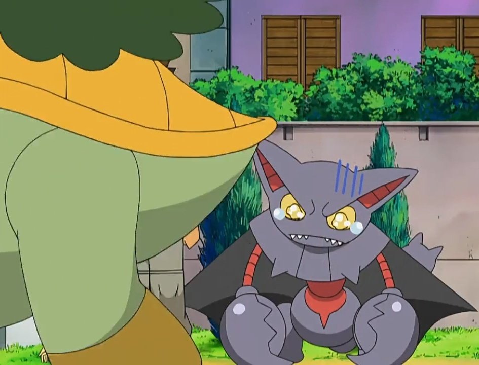 Pokemon Gliscor And Ash