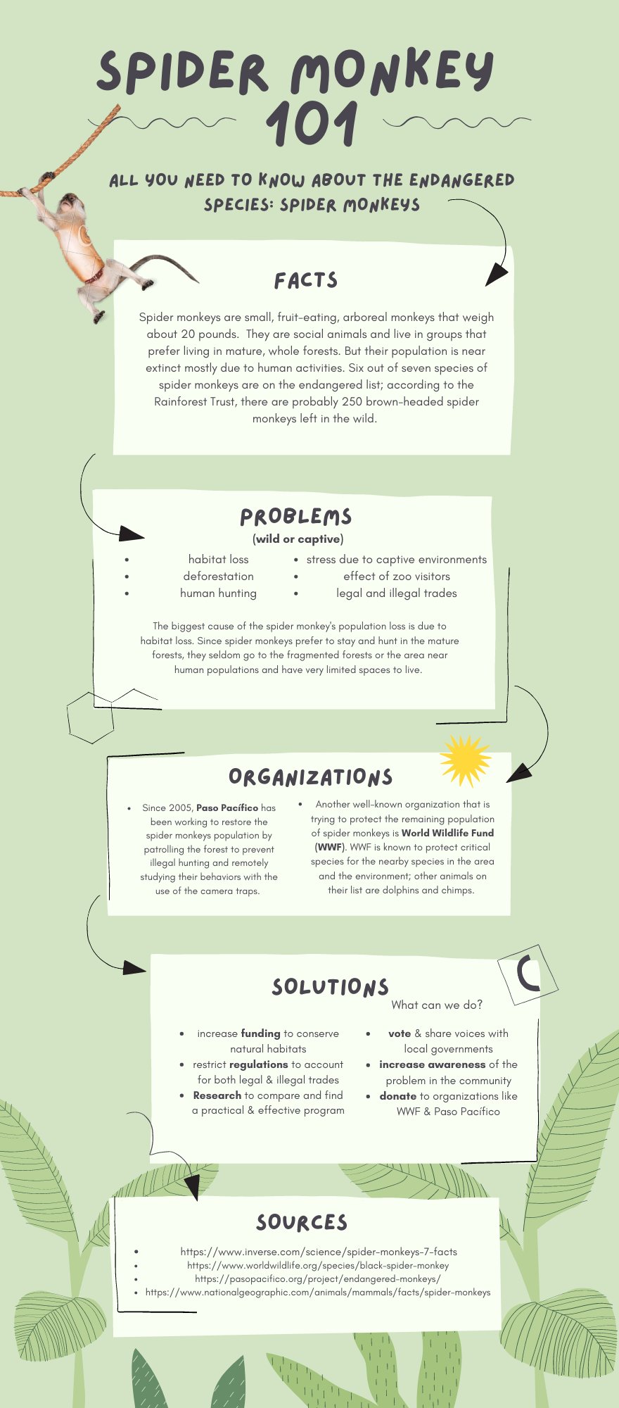Serena Wu on Twitter: "#39canimals here's the infographic about spider ...