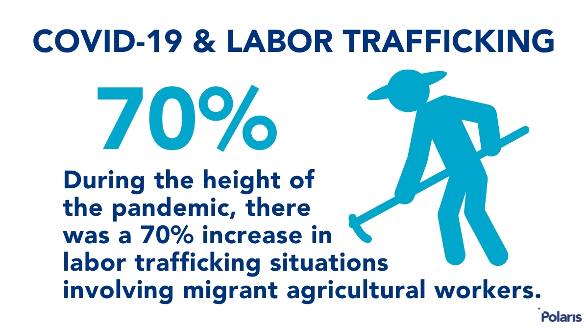 Human Trafficking Labor