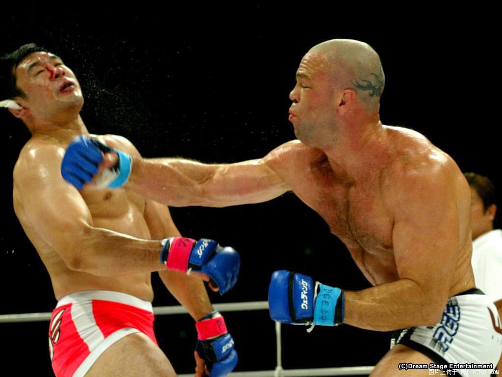 Wanderlei Silva Wallpaper