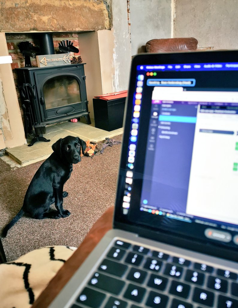 Carly Leanne (@CarlyLeanne) | Twitter