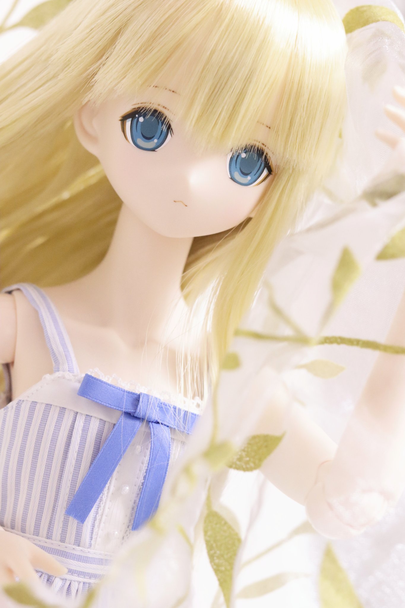 howahowa on Twitter: "おはようございます☀️ 昨日はとても嬉しい誕生日になりました ありがとうございました🙏 #アゾカツ #タイムオブエターナル…