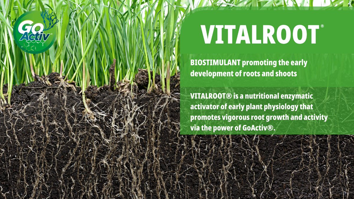 UPL AUS Ltd on Twitter: "#VitalRoot with #GoActiv has several benefits👇 ⬆ Root growth ⬆ Nutrient ...