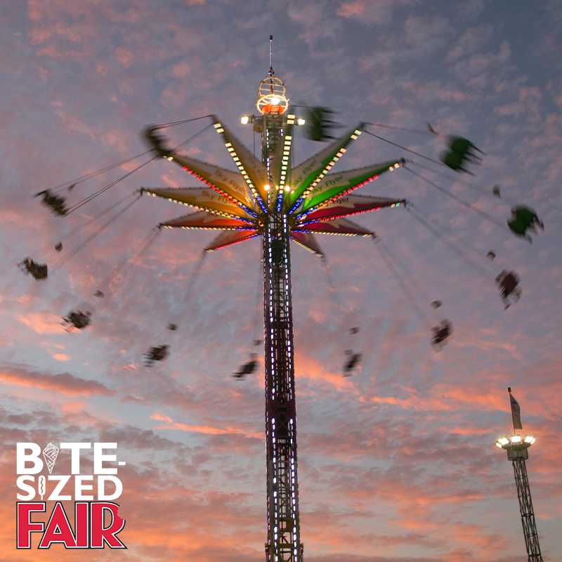 Are Dogs Allowed At The La County Fair