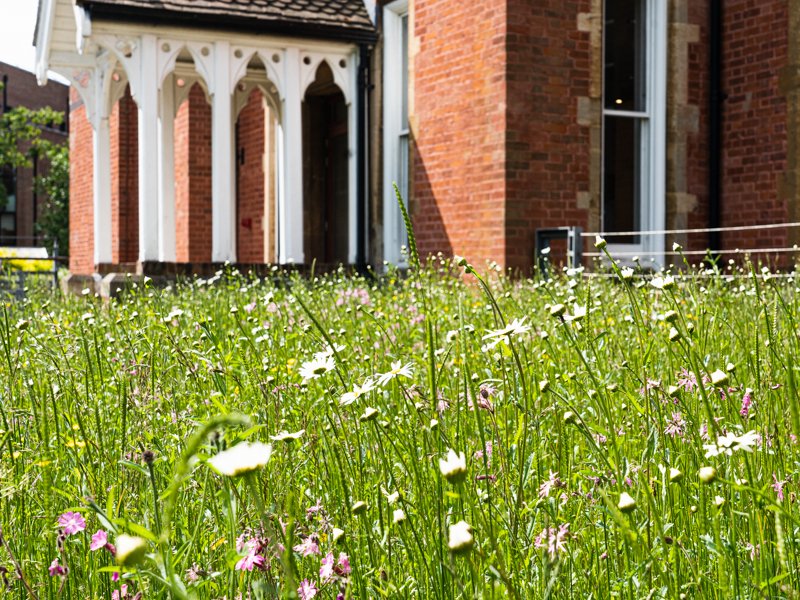 Highgate - Beyond a school | Highgate School