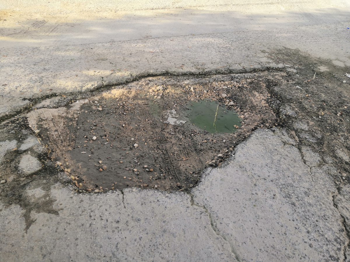 وليد بن عبدالوهاب دقاق 🇸🇦 Waleed Dakkak (@dakkak_waleed) | Twitter