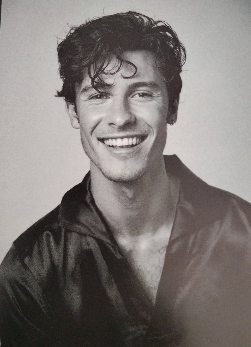 Shawn Mendes Twitter