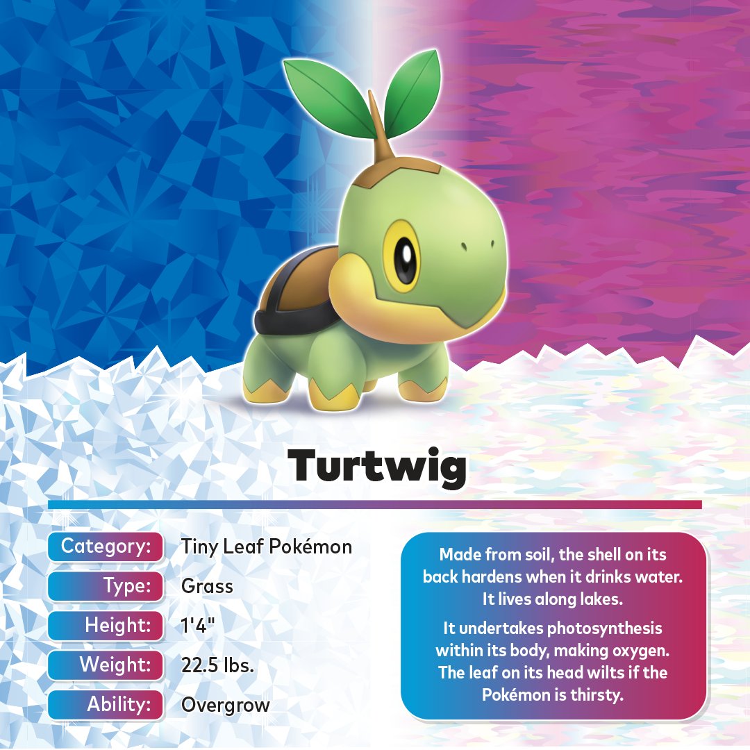 Turtwig Pokemon