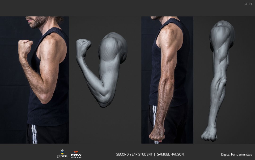 Human Arm Reference