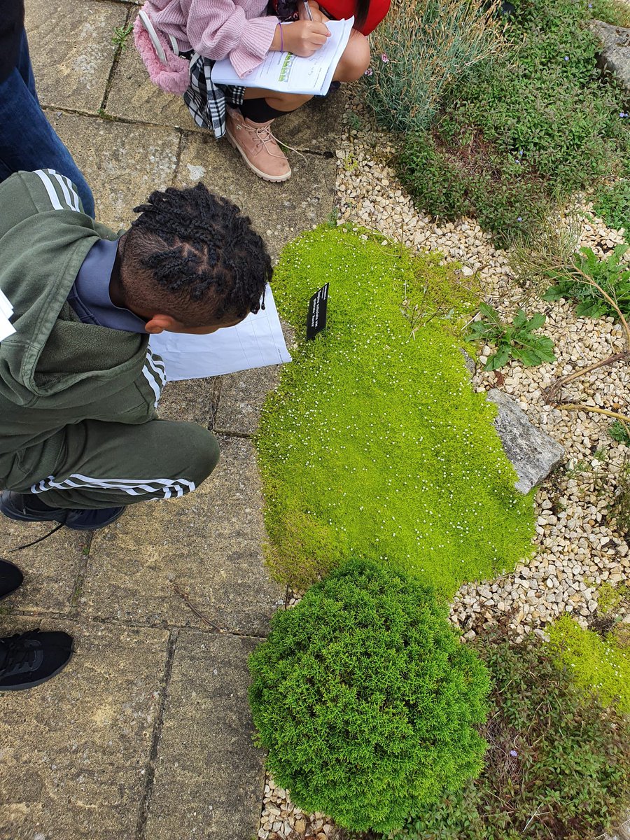 Harris City Academy Crystal Palace