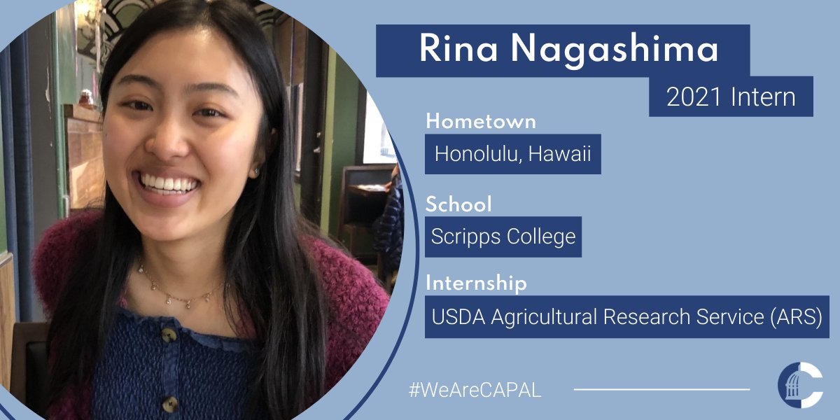 CAPAL on Twitter: "Meet our intern, Rina Nagashima #WeAreCAPAL This summer, Rina is working at ...